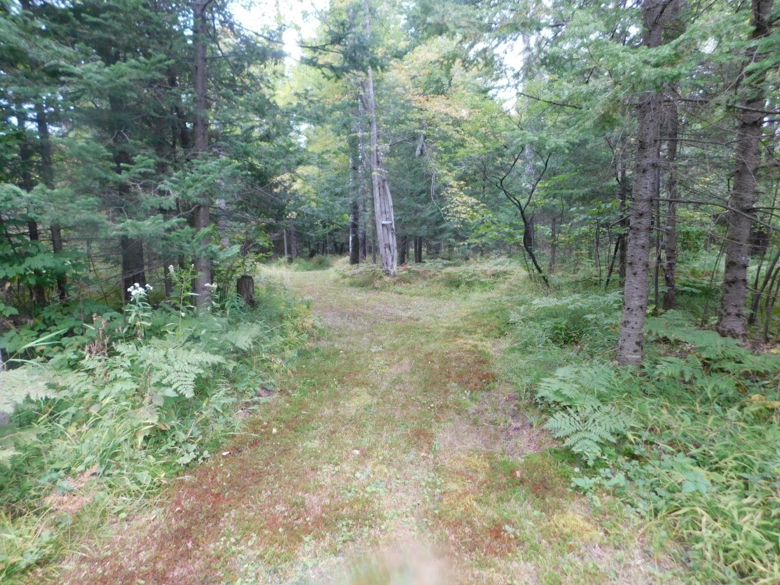 W3344 Grundy Rd, Irma, WI 54442 | MLS # 214237