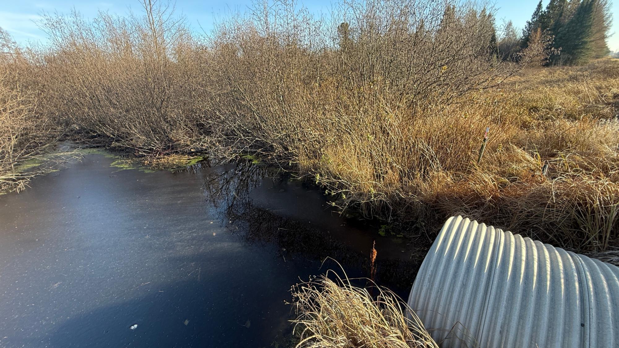 100 Ac Cth E, Tomahawk, WI 54487 | MLS # 215070